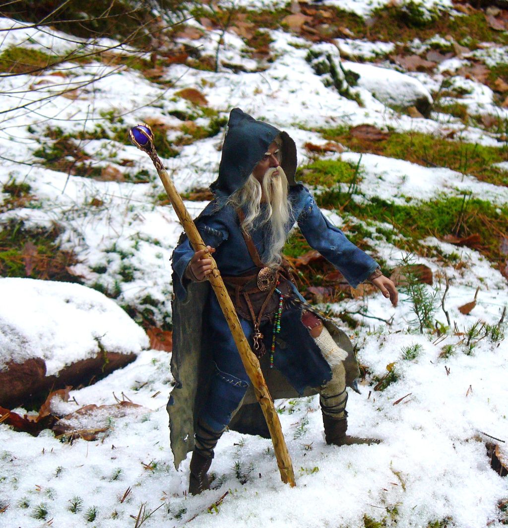 The Old Befuddled Wizard | One Sixth Warriors Forum